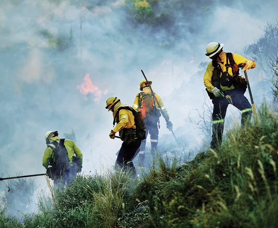 about us | LENZING™