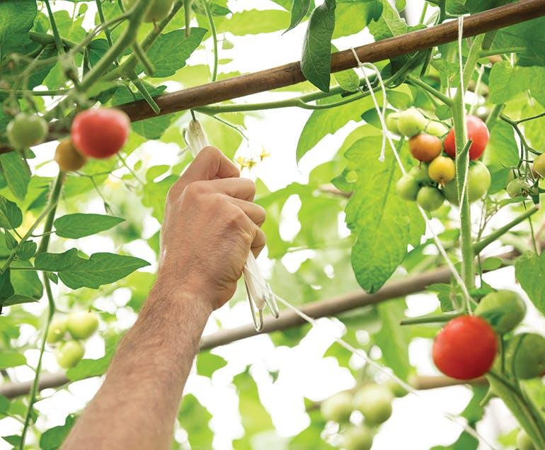 agriculture | LENZING™