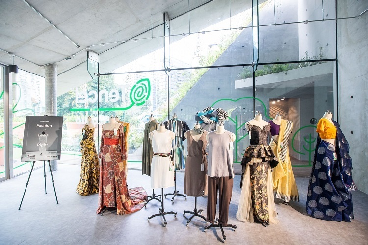 Explore the Cocoon Space: Hub for Sustainability & Innovation